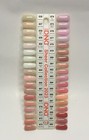 DC&DND Daisy Color Chart Gel Polish Color Sample Chart Palette Display ...