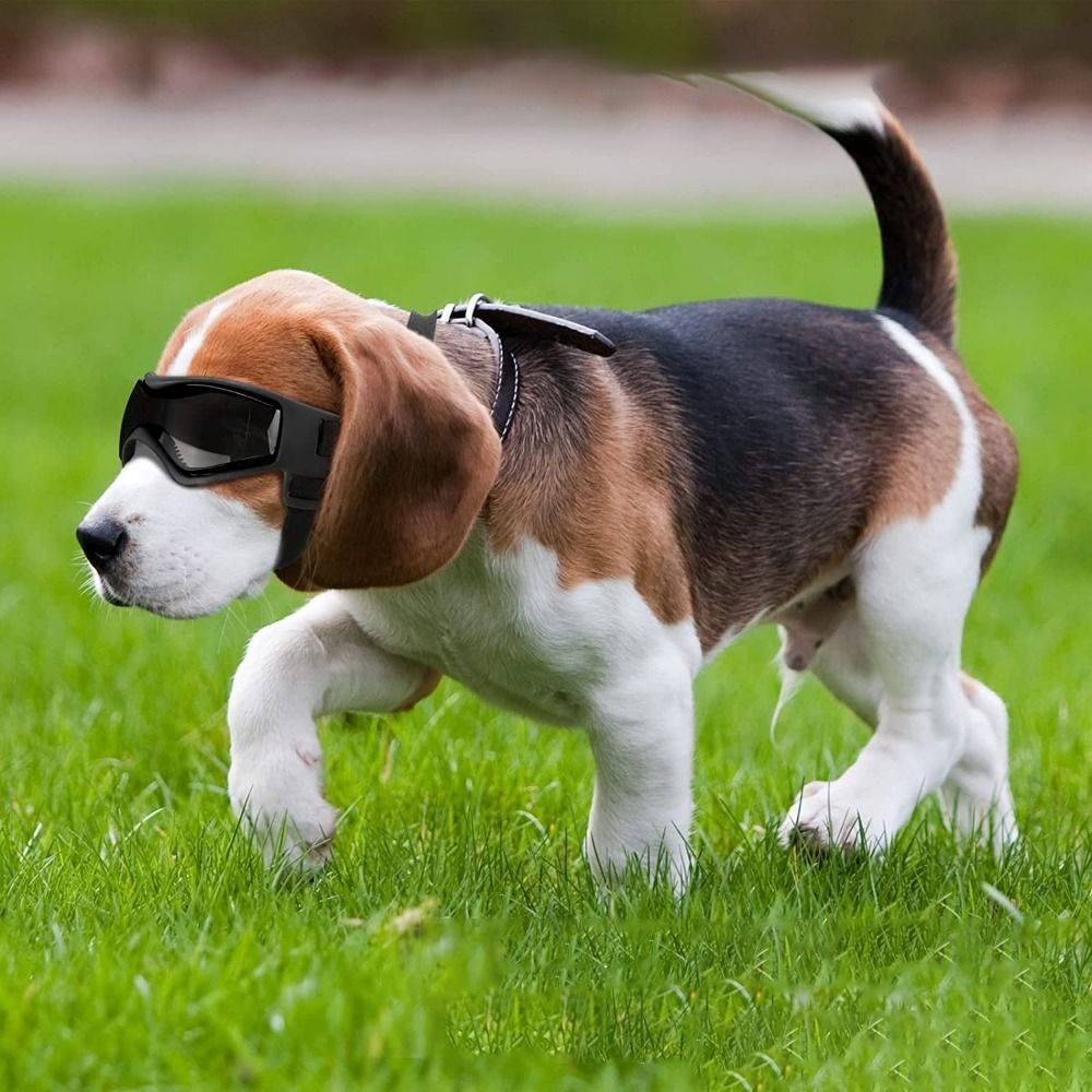 Fashion Pet Dog Doggles Goggles UV Sunglasses Sun Glasses Eye Wear ...