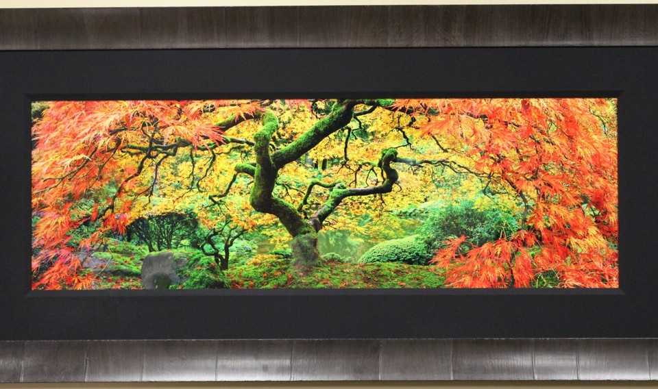 Peter Lik Signed Limited Edition "Autumn Spirit" 1.5 meter 606 Ash ...