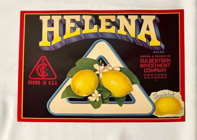 Vintage Original HELENA Brand Sunkist LEMONS Fruit Crate Label CA 1920s ...