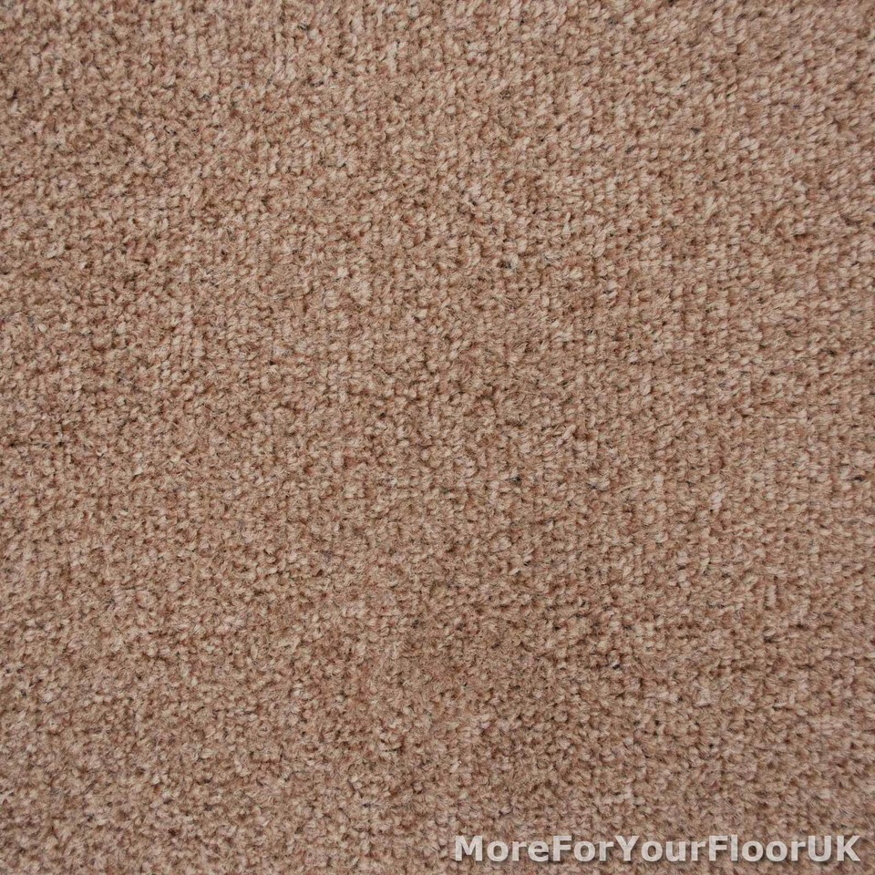 Beige Carpet Cheap Beige Carpets Loop Twist & Saxony Pile Beige Carpets ...