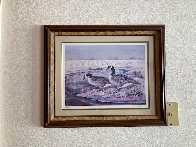 Gary Hawk framed print "Canada Goose" signed | eBay