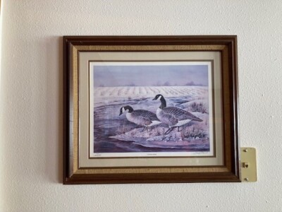 Gary Hawk framed print "Canada Goose" signed | eBay