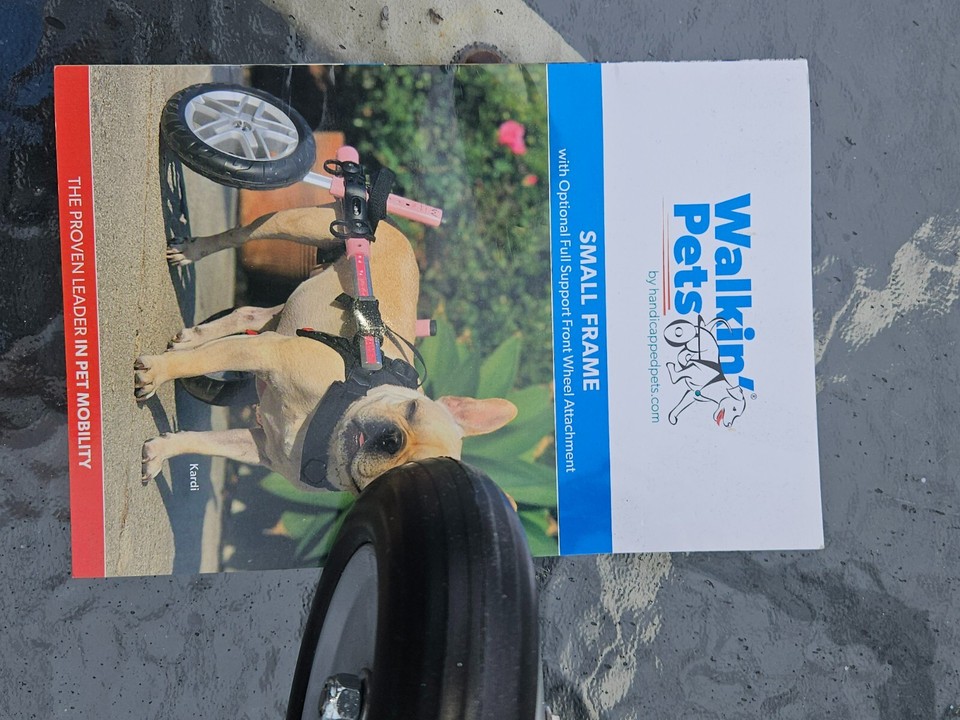 Walkin' Wheels Walkin' Pets Small Frame Blue Dog Adjustable Rear ...