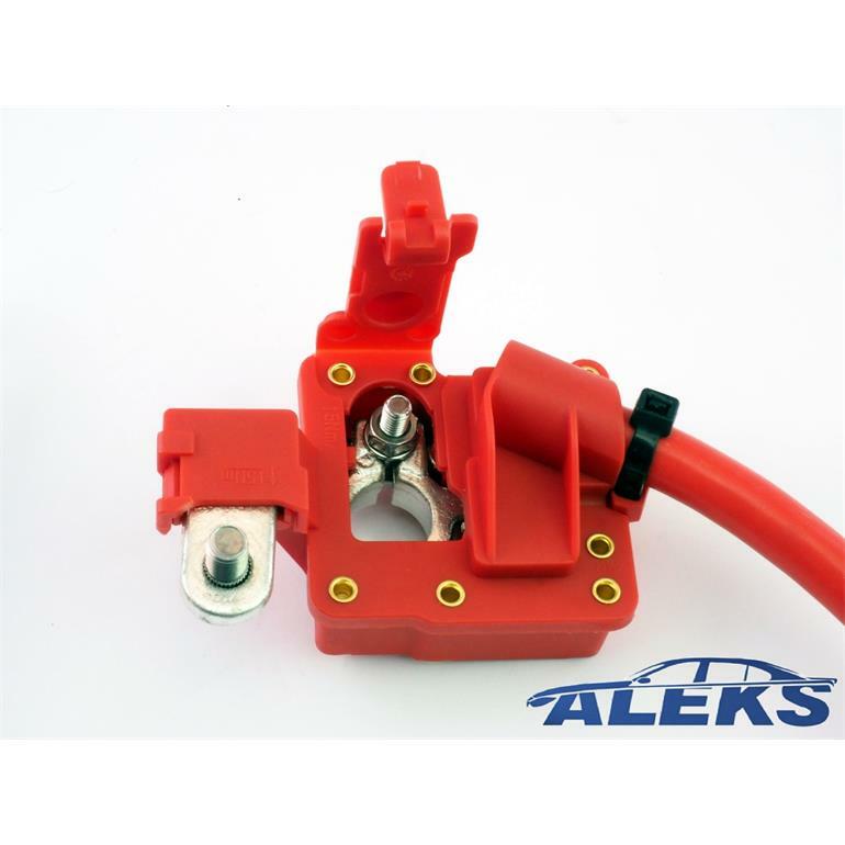 Pluskabel Überlastschutz Batteriekabel Kabelbaum für BMW X3 F25 vgl ...