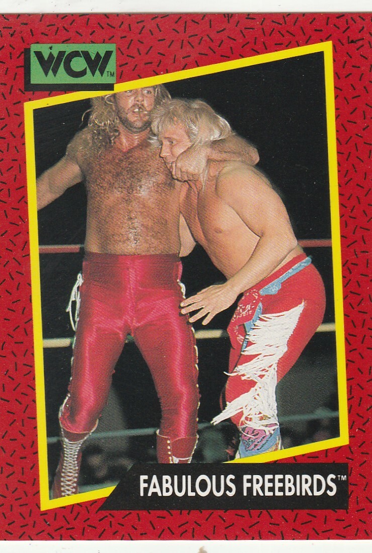 FREE SHIPPING-1991 Impel WCW Fabulous Freebirds Jimmy Garvin Michael ...