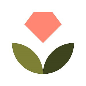 OLIVE AND CHAIN | eBay Stores