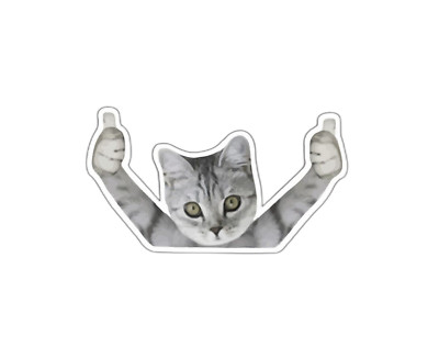 Cat Thumbs Up Sticker Decal | eBay