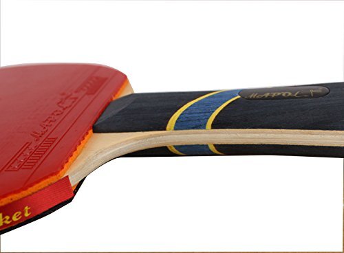 2 Pack of 4 Star Professional Ping Pong Paddle Advanced Training Table ...