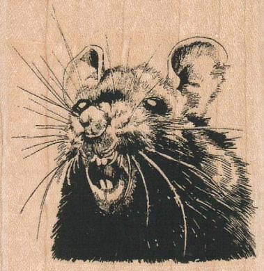 Ratface 2 1/2 x 2 1/2" Rubber Stamp, Animal Stamp, Rat Stamp | eBay