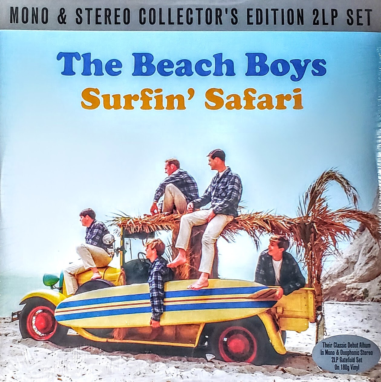 Beach Boys Surfin Safari