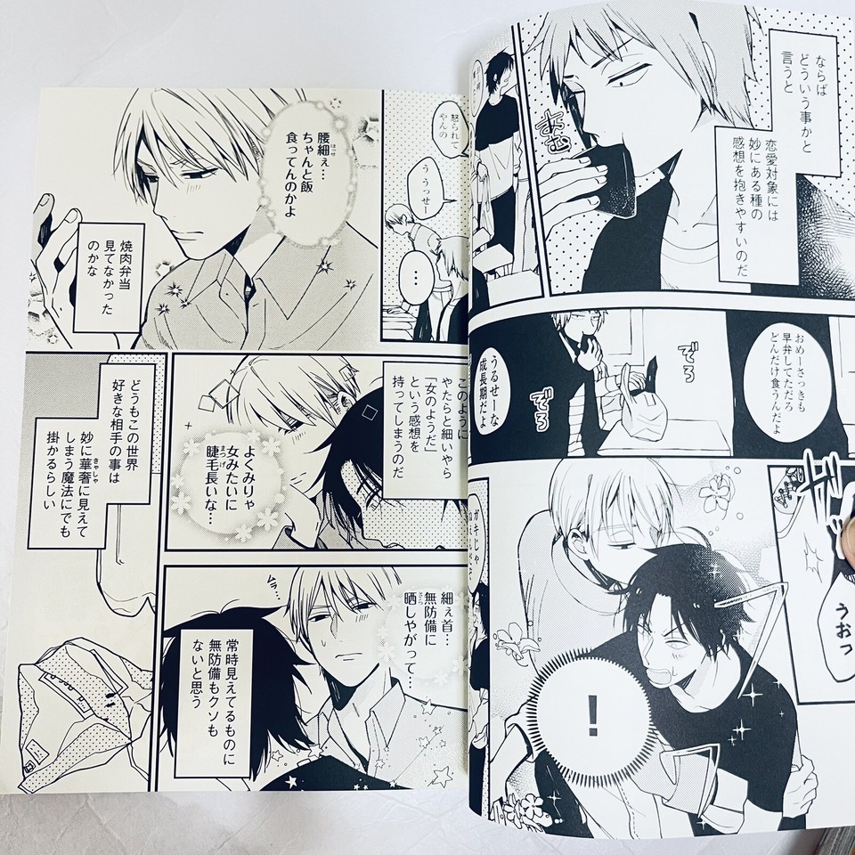 A Man Who Defies the World of BL Vol. 1-5 Japanese Boys Love BL Comic ...