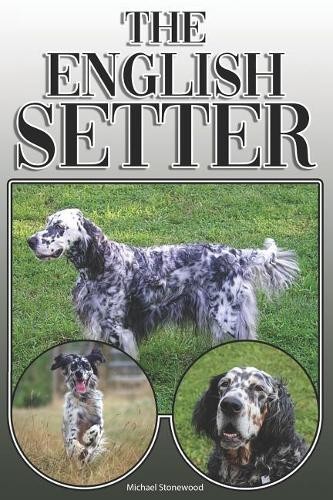 Michael Stonewood English Setter (Paperback) (UK IMPORT) 9781091989054 ...