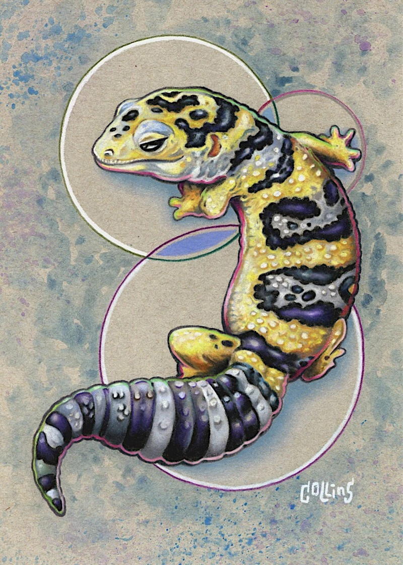 Leopard Gecko Lizard