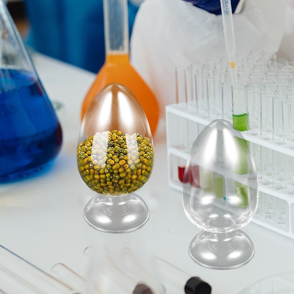 2 Pcs Lab Reagent Bottle Specimen Display Jars Clear Glass Vials | eBay ...