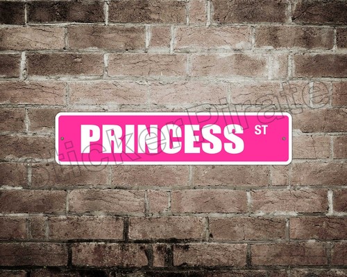 *Aluminum* Princess 4" x 18" Metal Novelty Street Sign SS 2940 | eBay