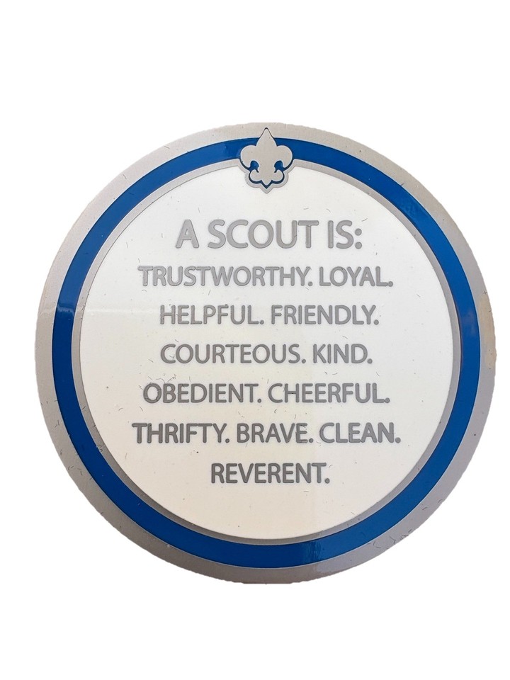 Scouting America 115 Years Anniversary Challenge Coin. New In Display ...