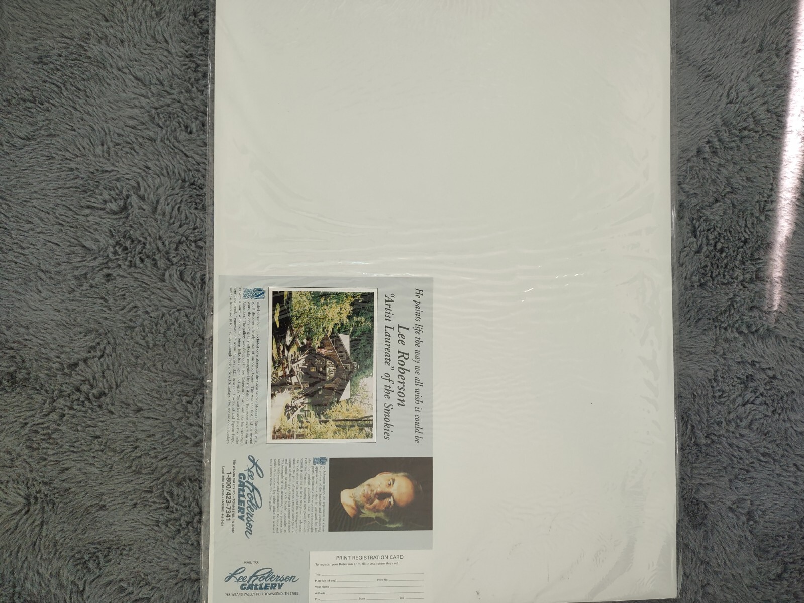 Lee Roberson OLD STUFF 2002 Signed Ltd Print The Great Smoky Mountains ...