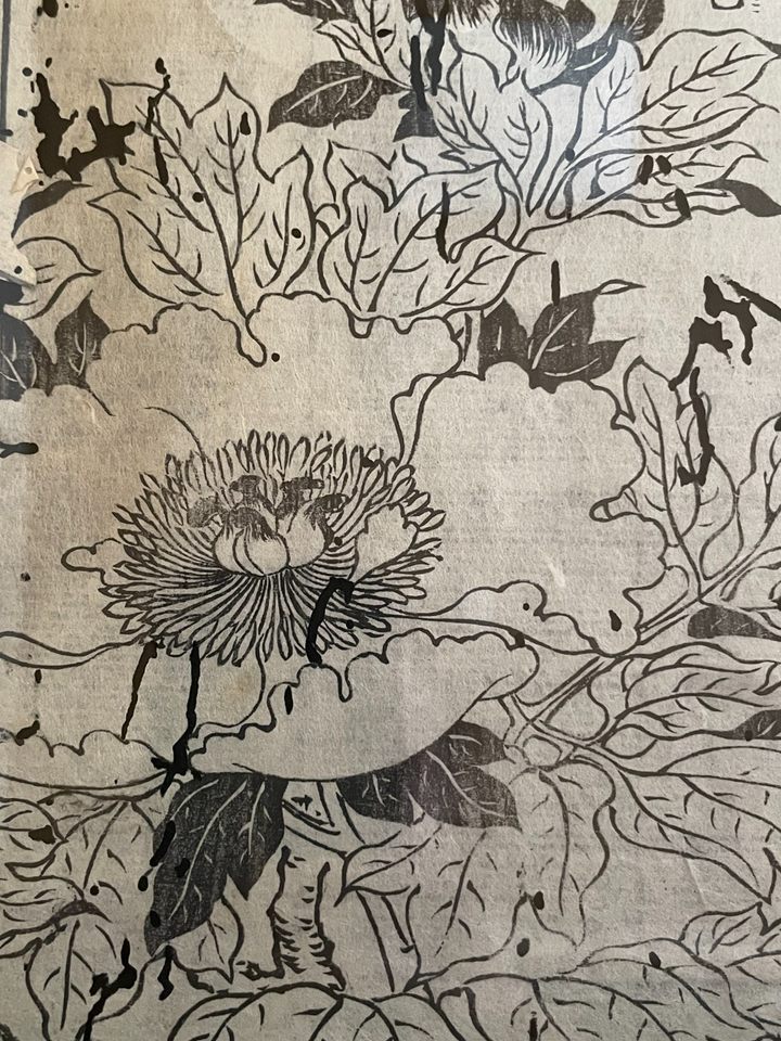 1755 Botany Ukiyo-e Samurai Japan Medicinal Plants Edo Woodblock Print ...