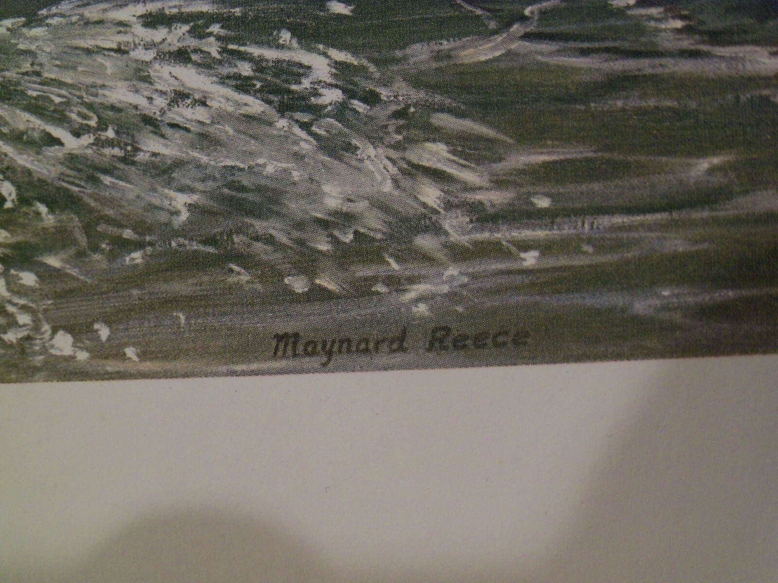 Vintage Maynard Reese Signed Print "Florida Jumping Fish" 14" x 11" | eBay