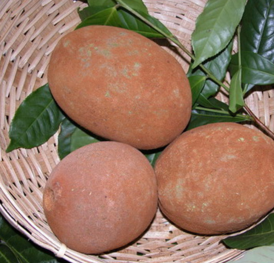 Cupuacu Powder