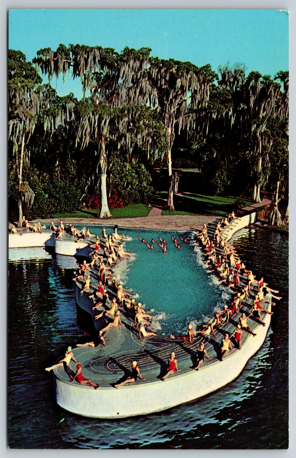 Postcard Cypress Gardens Esther Williams Swimming Pool Winter Haven, FL ...