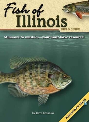 Fish of Illinois Field Guide (Fish Identification Guides) - Paperback ...