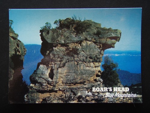 BOAR'S HEAD MEGALONG VALLEY BLUE MOUNTAINS NSW 1997 POSTCARD | eBay ...