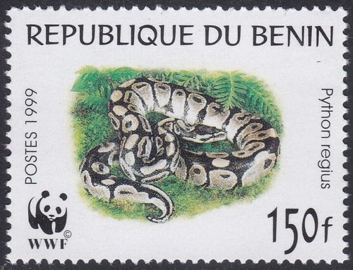 Specimen, Benin Sc1086b WWF, Python Regius, Snake, World Wildlife Fund ...