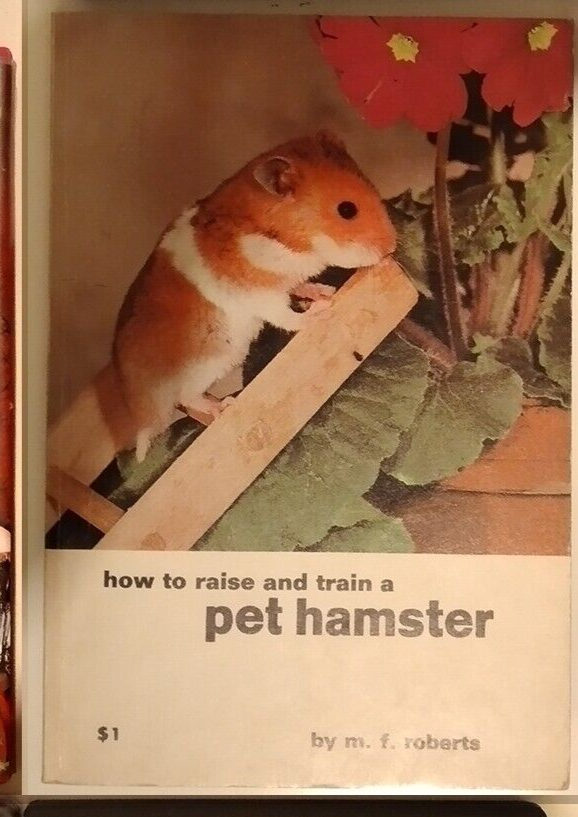 How to Raise and Train a Pet Hamster VINTAGE BOOK | eBay