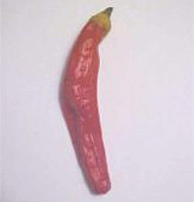 Charleston Hot Peppers Seeds (25 Seed Packet) (More Heirloom, Organic ...