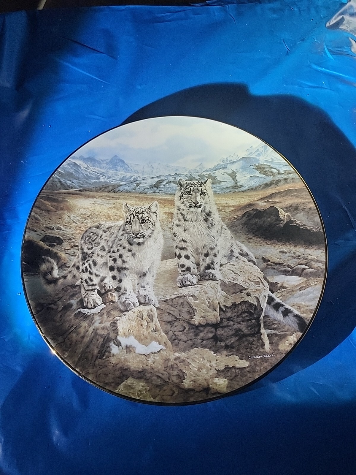 “Secret Heights” Snow Leopards Collectible Plate W.S. George | eBay