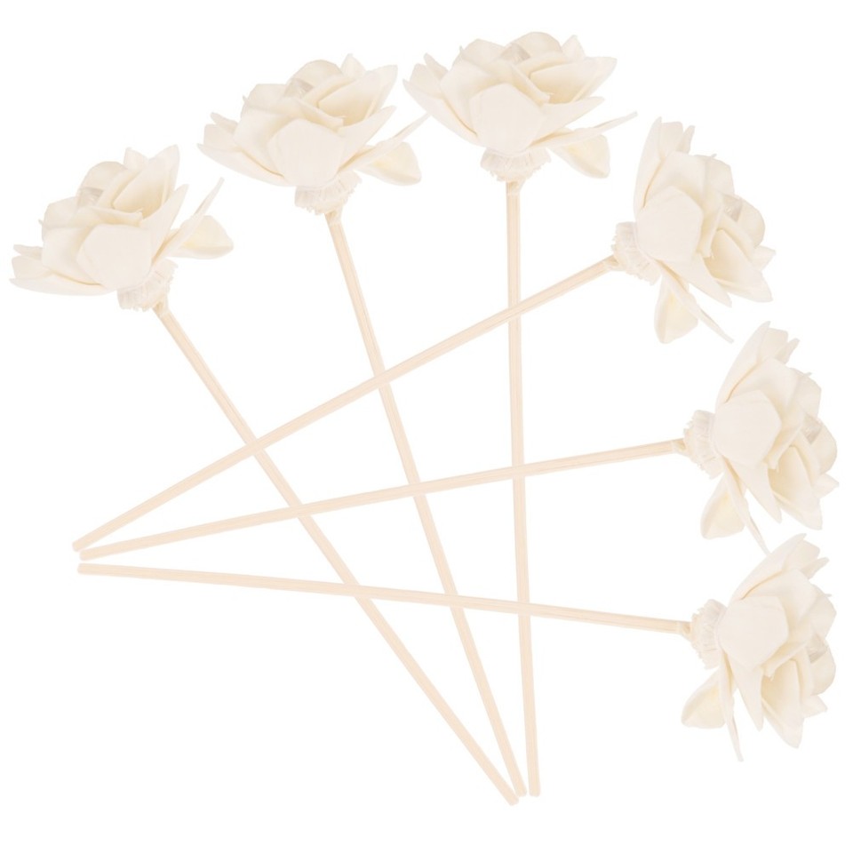 6 Pcs Essential Oil Flower Stick Rattan Dried Flower Aroma Diffuser ...