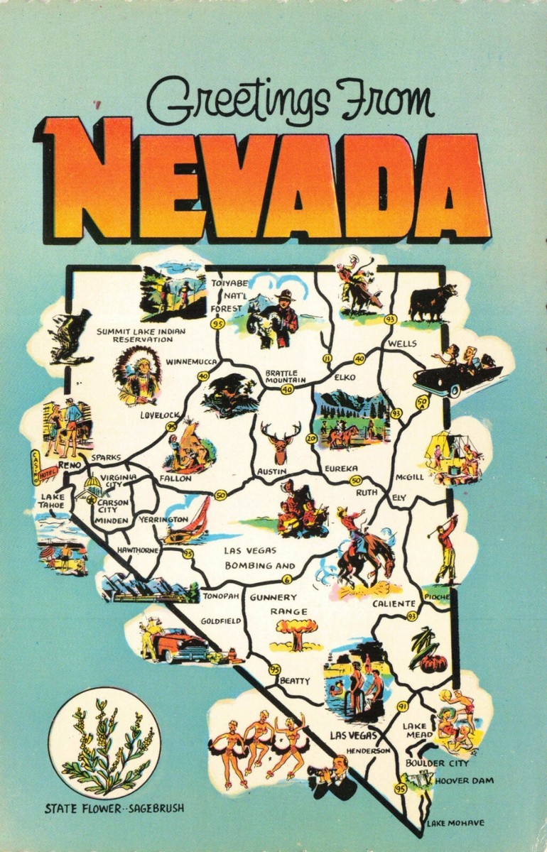 Nevada State Flower Meme