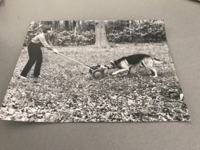 COLETTE CASTEL - PHOTO DE PRESSE ORIGINALE 18x24cm | eBay