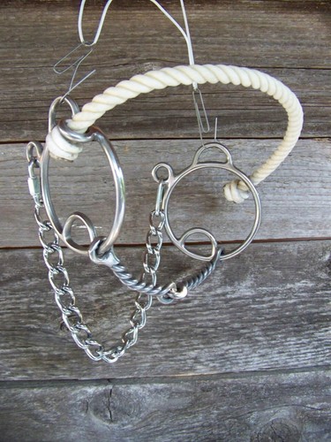 Bit - SS Ring/Sliding Gag w/Twisted Wire Snaffle | eBay