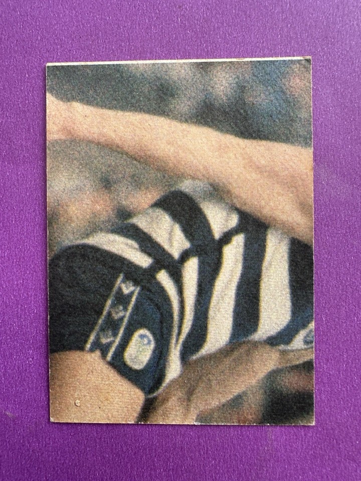 Scanlens 1986 VFL Card #90 Gary Odgers , St.Kilda .*Excellent Condition ...
