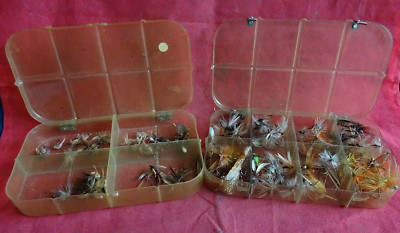 Flies - Bill Dewitt