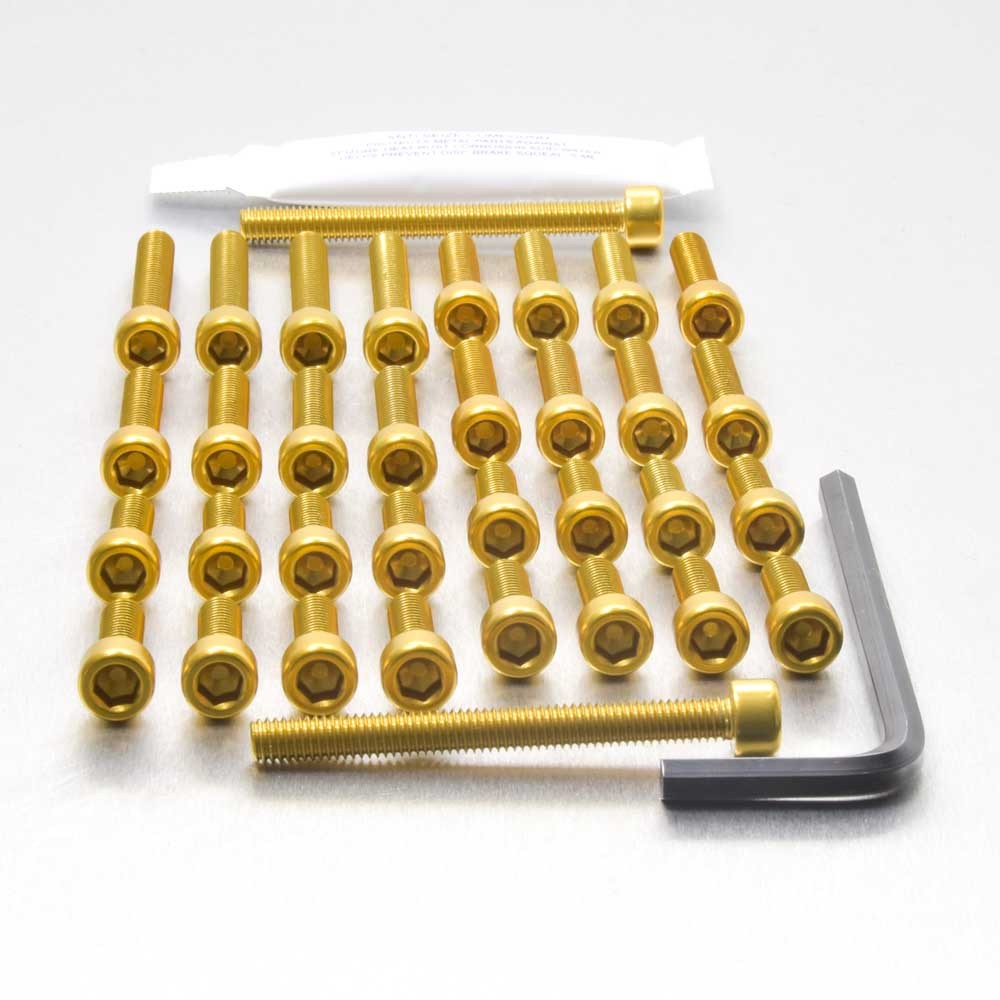 Screws Kit Engine Trophy 1200 96-98 Gold | eBay