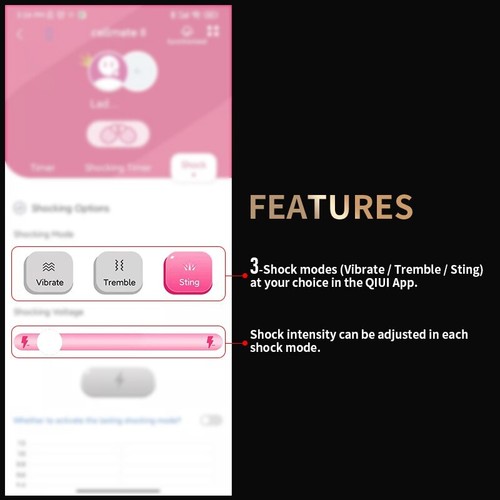 Electri Shock 2 Remote Control Male Chastity Ring Lock Silicone Cage ...