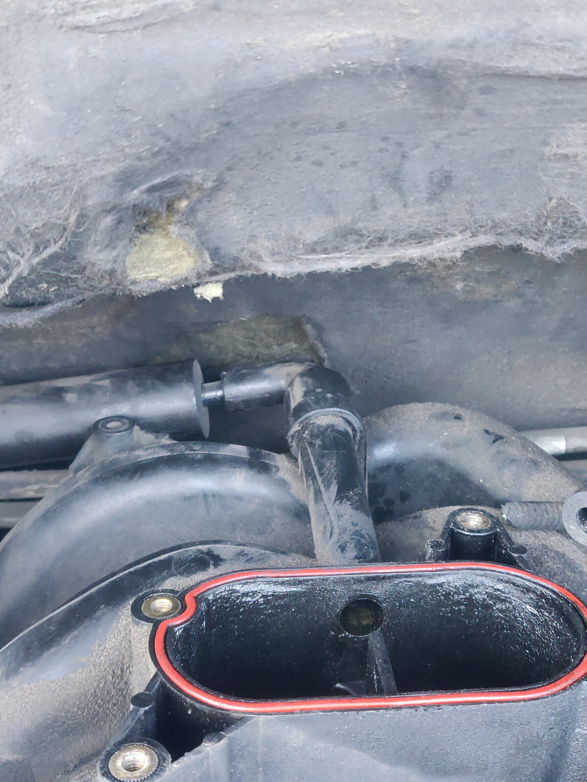 2001 Ford F150 V8 5.4L 2V PCV Valve Rubber Hose Elbow OEM Smog ...