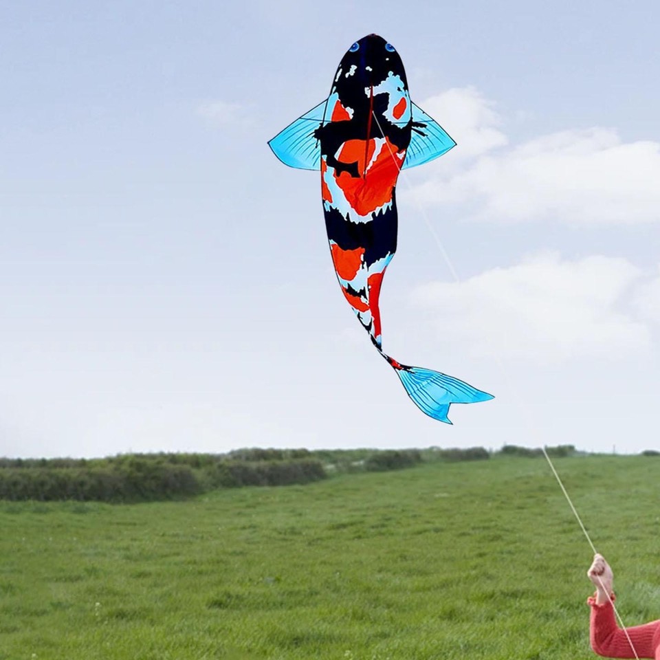 Cerf-volant Koi, décoration extérieure, manche à air Koi pour parc ...