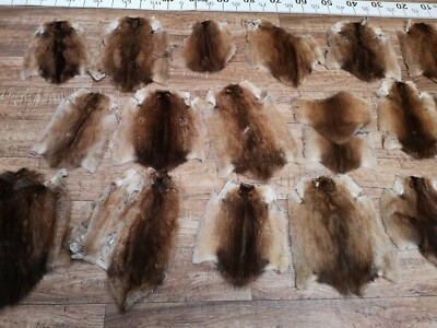 10 x real musk skins musk fur musk fur medieval LARP B product bargain ...