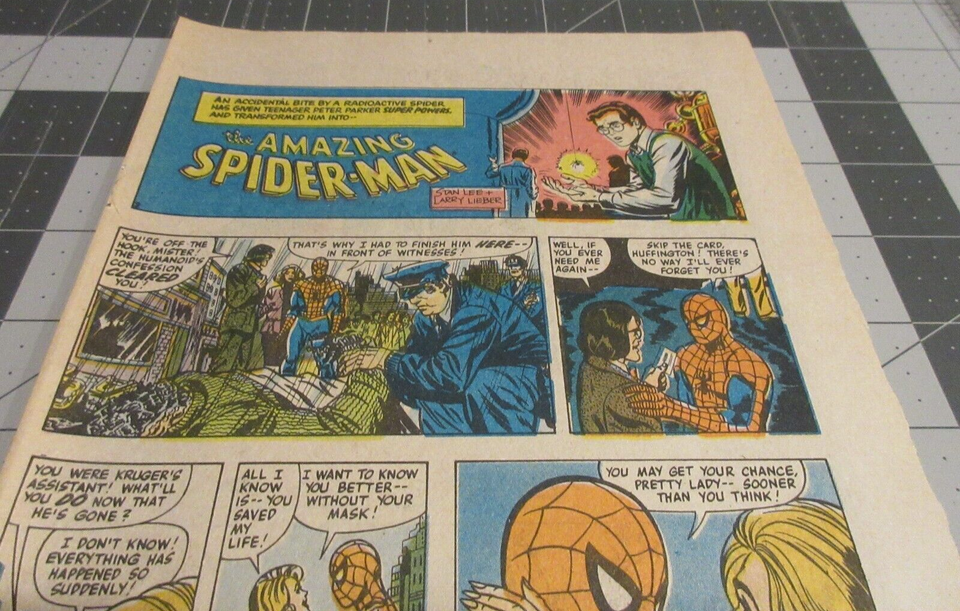 The Amazing Spider-Man, Stan Lee & Larry Lieber Sunday comic Strip 5/17 ...