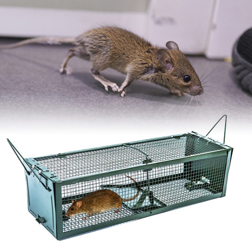 Rat Trap 2 Doors Squirrel Heavy Duty Humane Live Bait Vermin Rodent ...