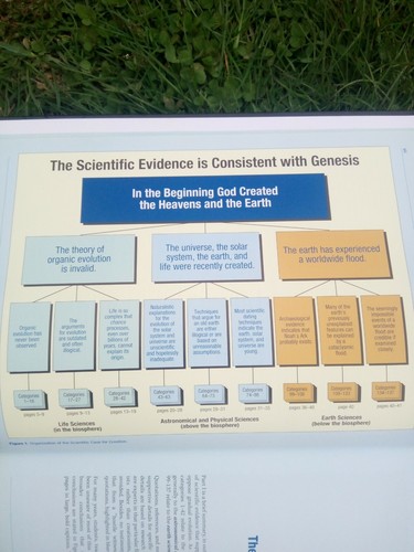 In the Beginning : Compelling Evidence for Creation and the Flood by ...