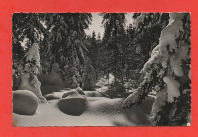 Das Malerische Franche Comté - Der Wald Im Winter (J6281) | eBay.de