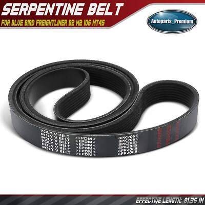 81.36" Serpentine Belt for Blue Bird Freightliner B2 M2 106 MT45 ...