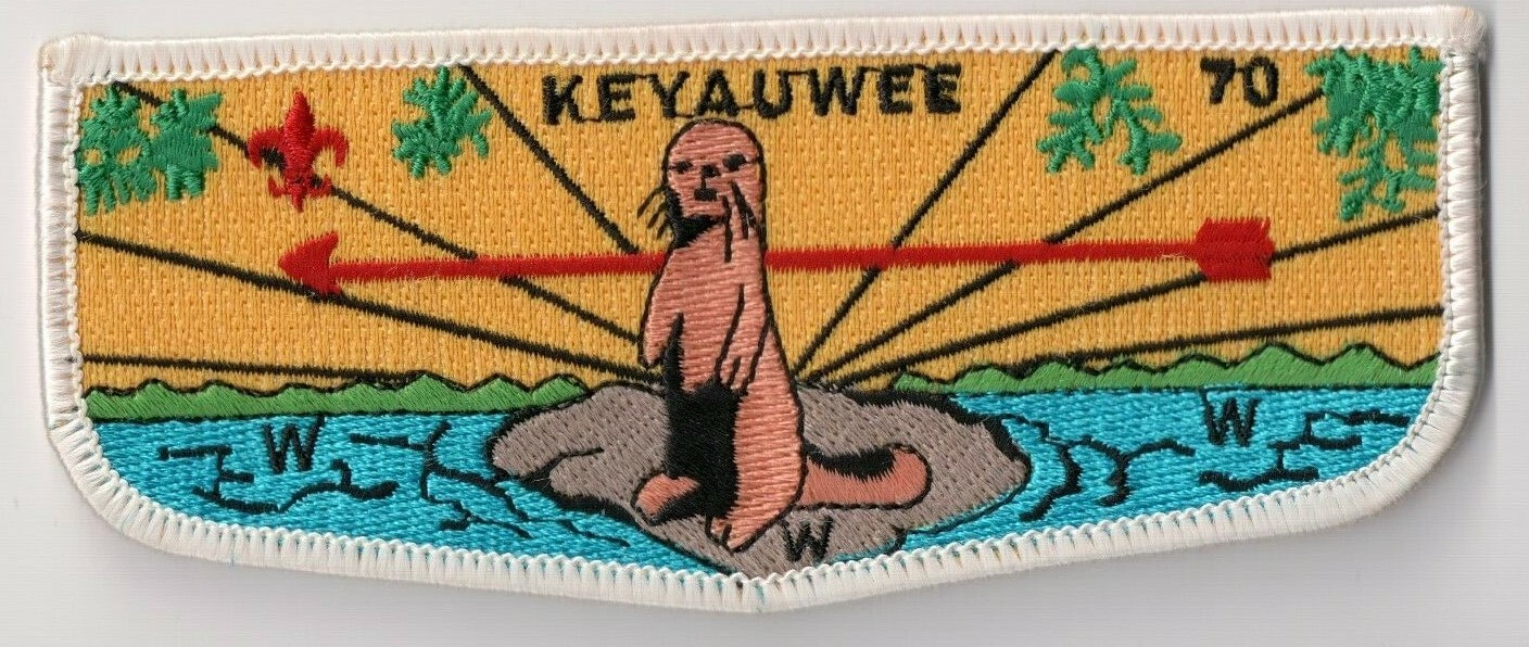 Keyauwee Lodge 70 S-4, Old North State Council North Carolina | eBay