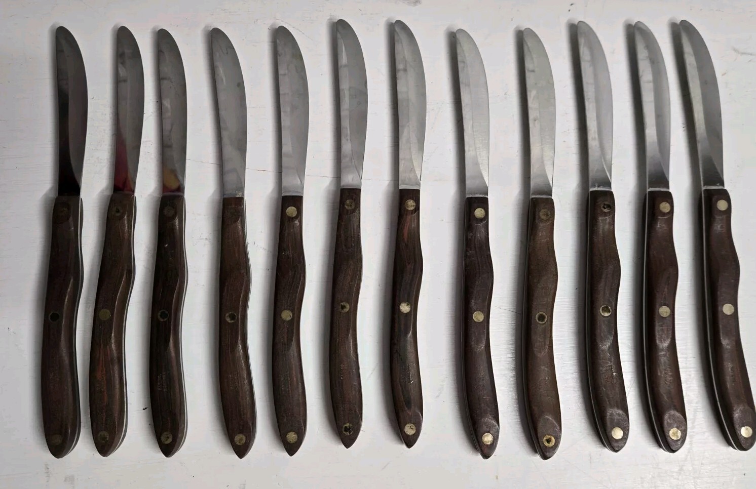 Cutco #59 Set of 12 Table Steak Knives | eBay